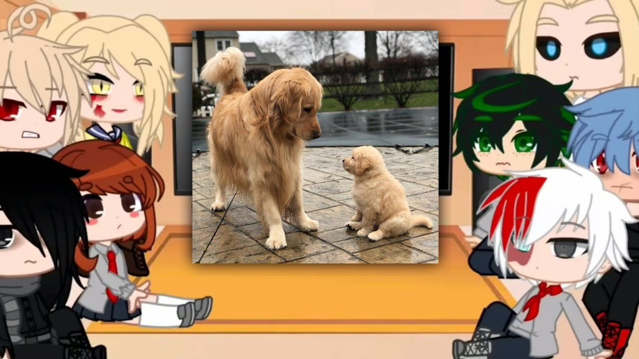 MHA/BNHA Character React to Deku's Pets/This is is cute/MHA/BNHA/Gacha ...