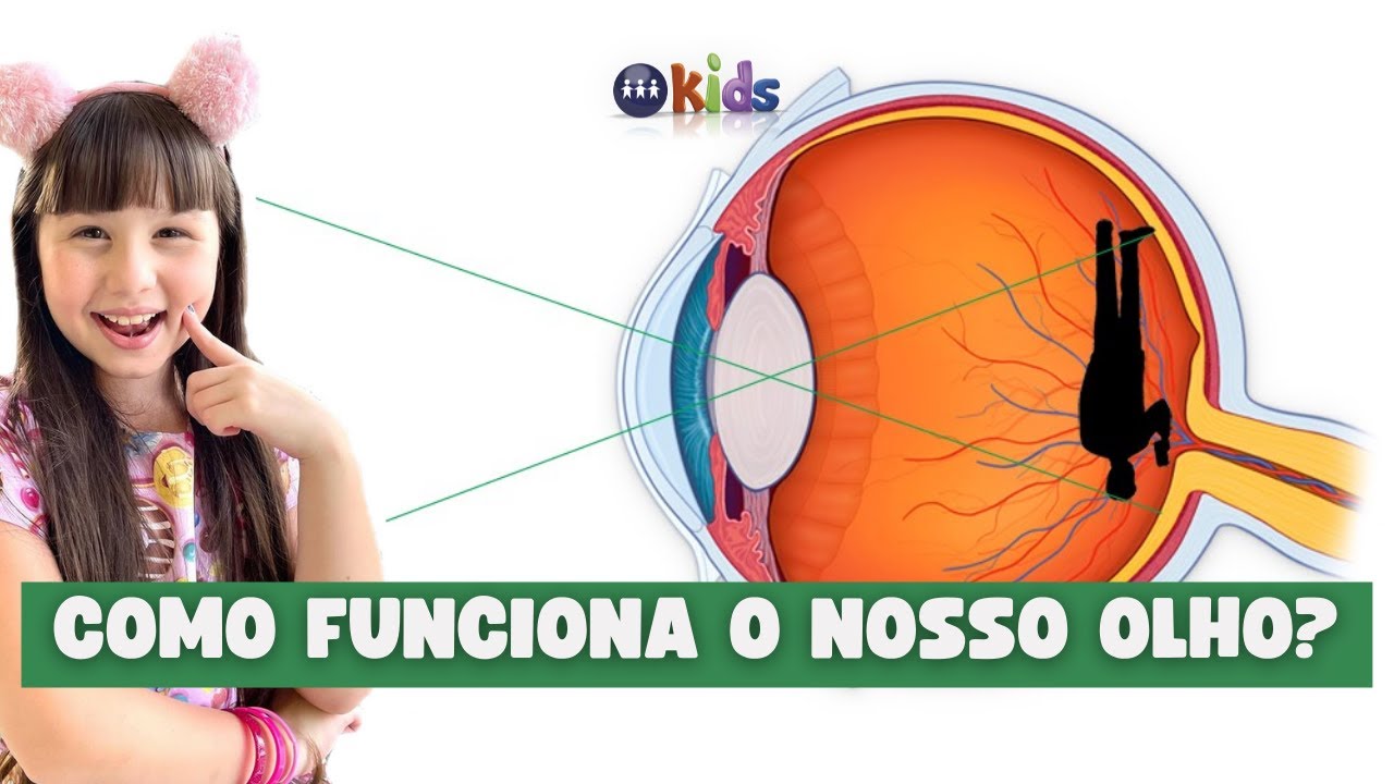 CONHEÇA O SENTIDO DA VISÃO - YouTube