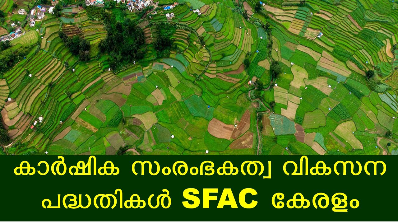 കാർഷിക സംരംഭകത്വ വികസന പദ്ധതികൾ SFAC കേരളം Small Farmers Agri Business ...