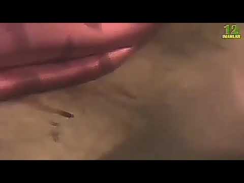 İmam hüseynin mübarək başı Aşura günü bu daşın üstündə kəsilib ..