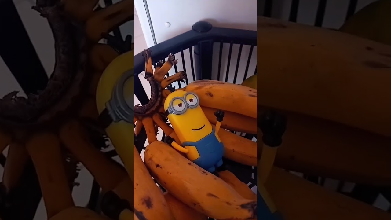 comer banana aaaaaaaaaaaaaaaaaa🍌 - YouTube