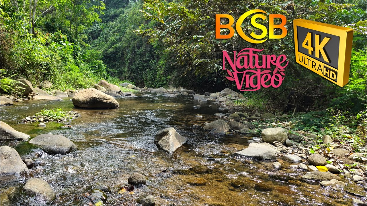 Quickly Fall Asleep With River Stream Sounds | Calming Water White ...