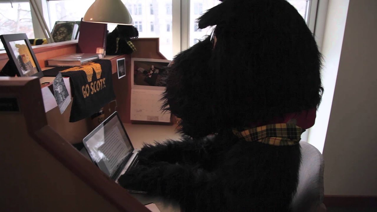 COW Carrel Dreams - YouTube