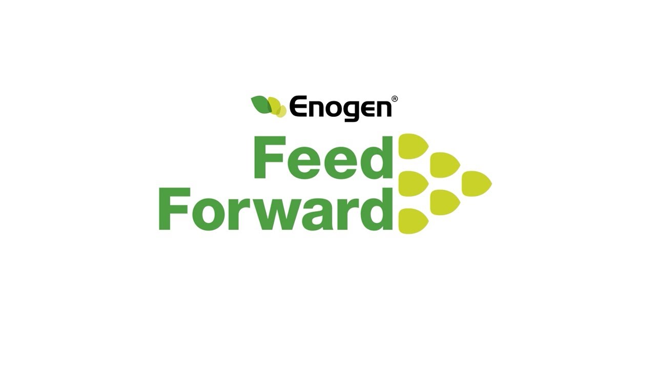 Enogen Feed Forward Opportunity - YouTube