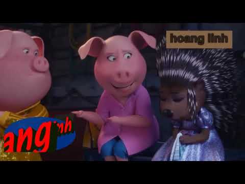 con heo dat - YouTube