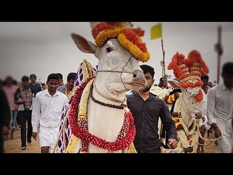 🙏Hangarahalli Basavappa 🙏 @hallikarloversmanu - YouTube