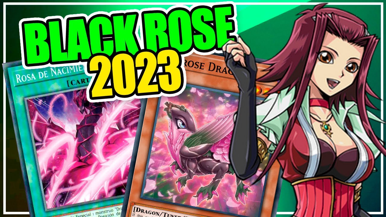 DECK BLACK ROUSE DRAGON DUEL LINKS 2023 / DECK DRAGON DE LA ROSA NEGRA ...
