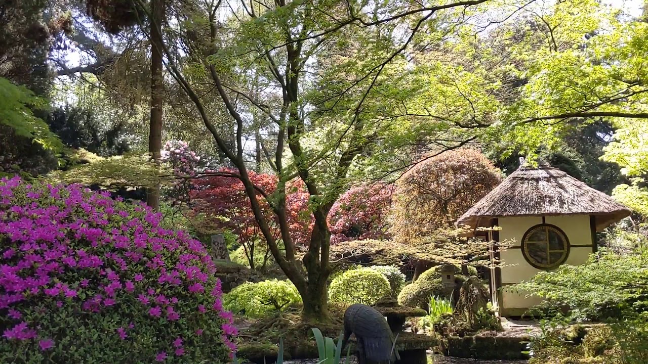 Japanese Spring Garden