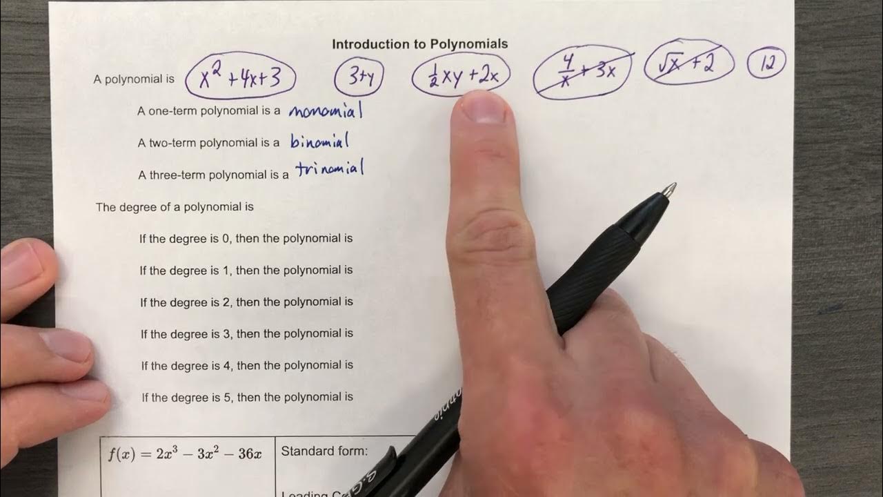 Introduction to Polynomials, Part 1 - YouTube