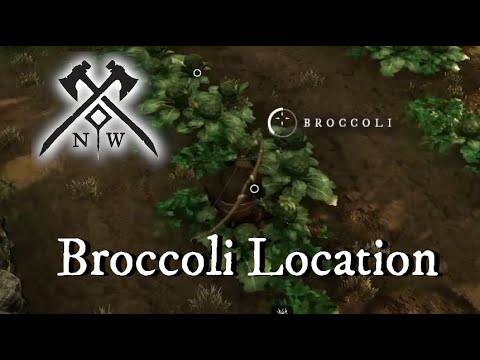 Broccoli Location - Campbell's Rest - New World - YouTube
