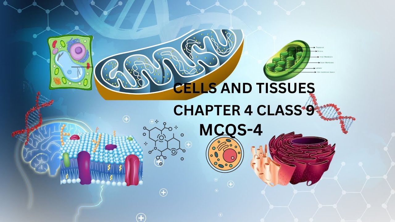 Cells and Tissues| solved MCQs| Biology| class 9th| | chapter 3| part 4 ...
