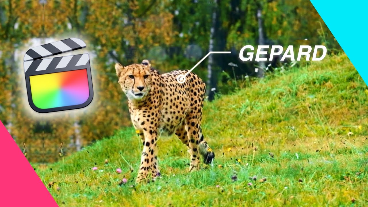 Final Cut Pro 10.6 - Object Tracking Tutorial 2025 (Deutsch) - YouTube