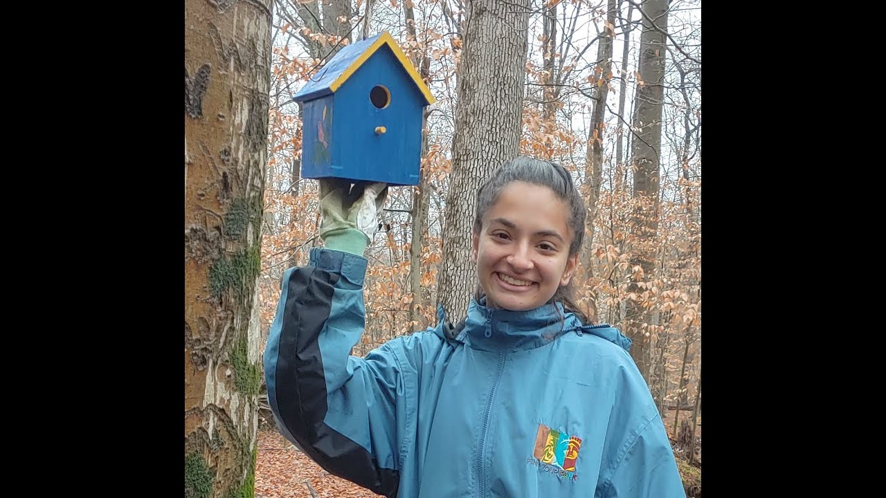 Project Save the Birds: Bird Conservation - YouTube