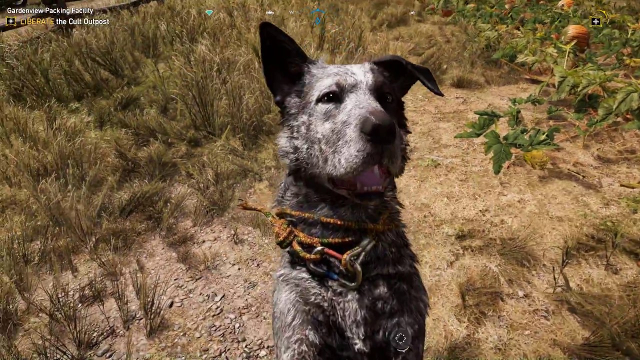 liberating farm Far Cry 5 ingame - YouTube
