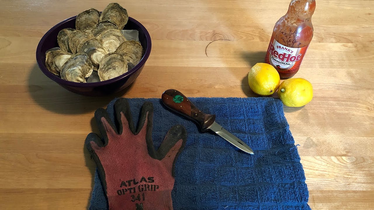 🦪 Shuck At Home - Episode 1: How to shuck an oyster - YouTube