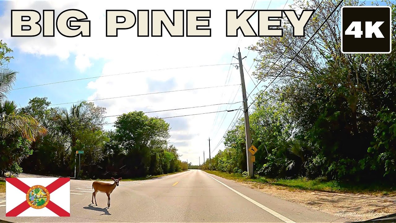 Big Pine Key 4K scenic drive | Florida Keys (Key deer habitat) - YouTube