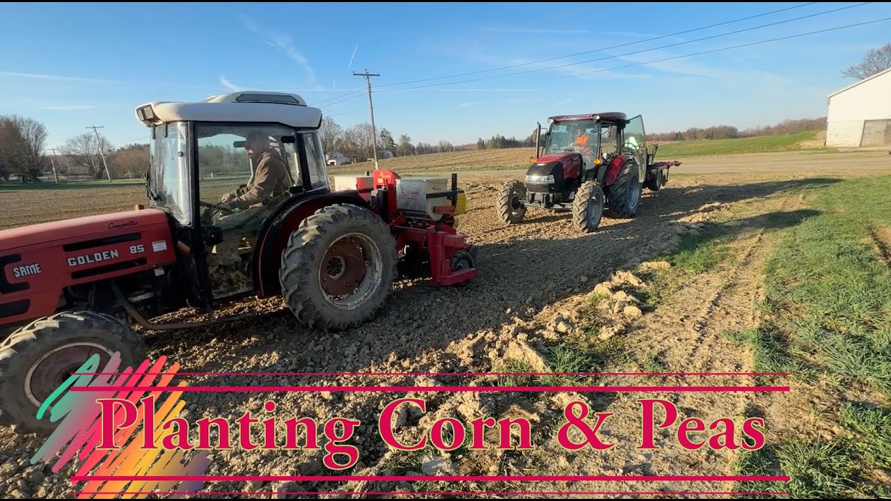 Planting Corn & Peas - YouTube