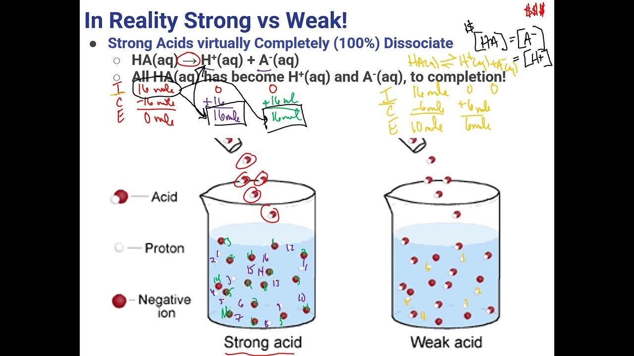 AP 8.2: pH and pOH of Strong Acids and Bases - YouTube