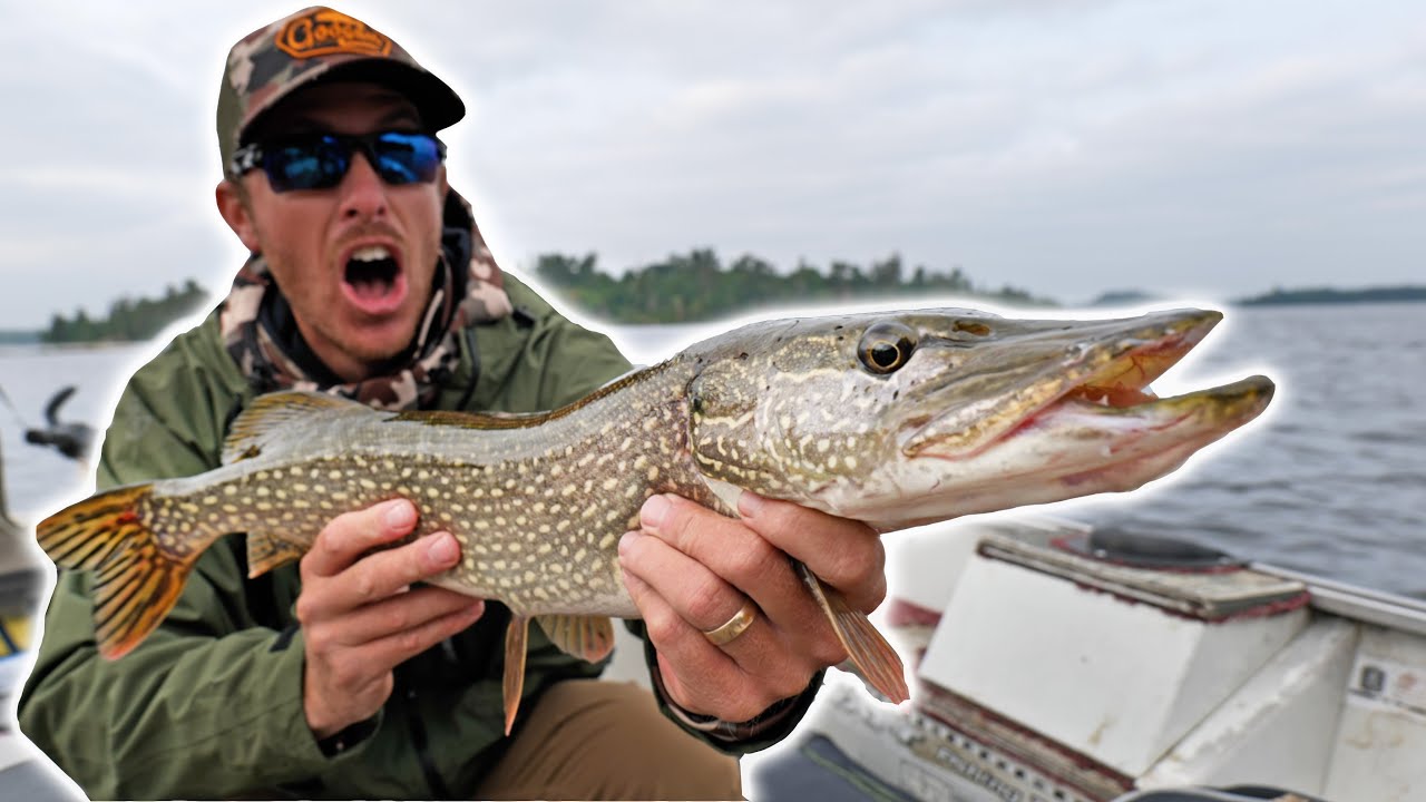 Light Line Pike Fishing Challenge | 1v1 Try to Keep your LURES! - YouTube