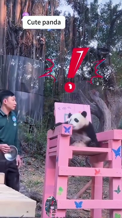 Cute panda core - YouTube