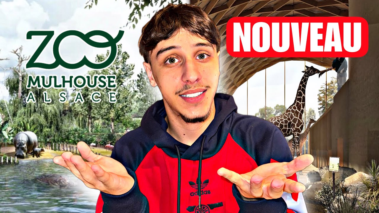 UNE NOUVEAUTÉ AU ZOO DE MULHOUSE ! Horizon Afrique ( Girafe, Hippopotame…) - YouTube