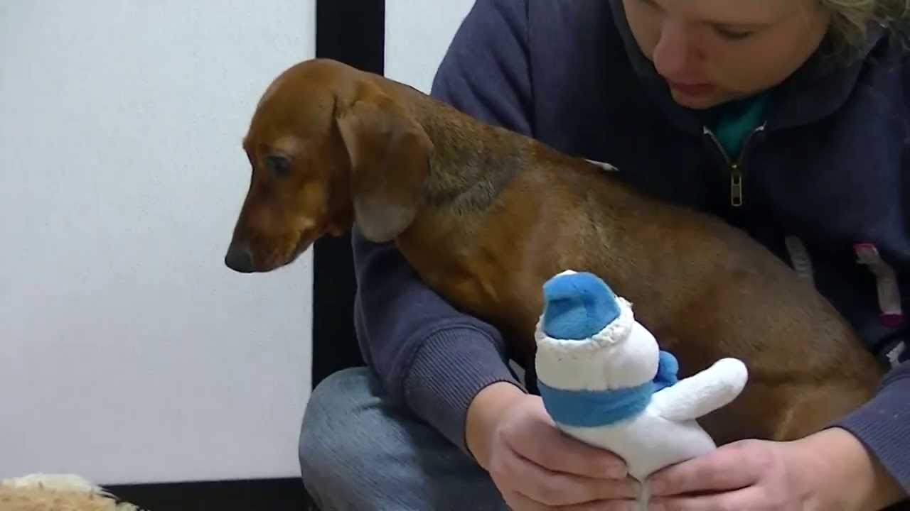 Cash aka Jake - YouTube