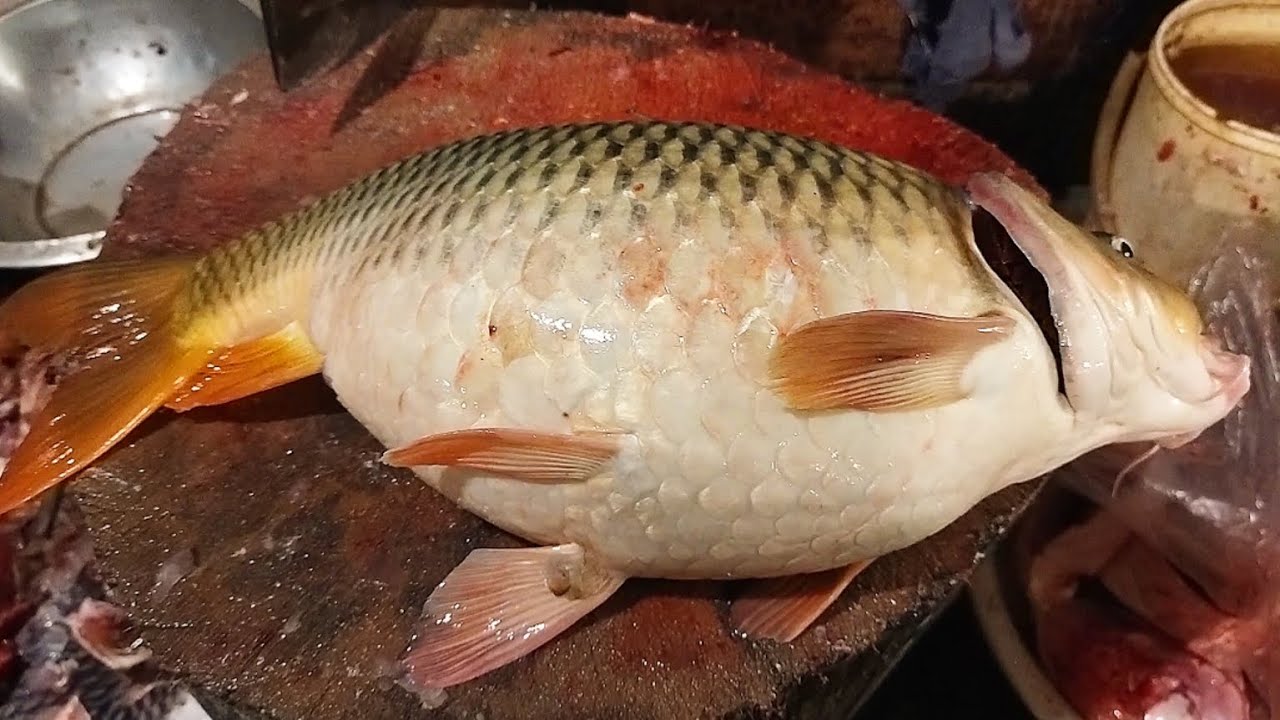 New Karfo Fish cutter video big fish cutting Skills Experts Bangladeshi ...