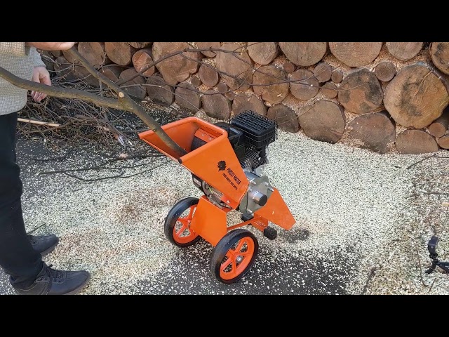 Videos | Forest Master