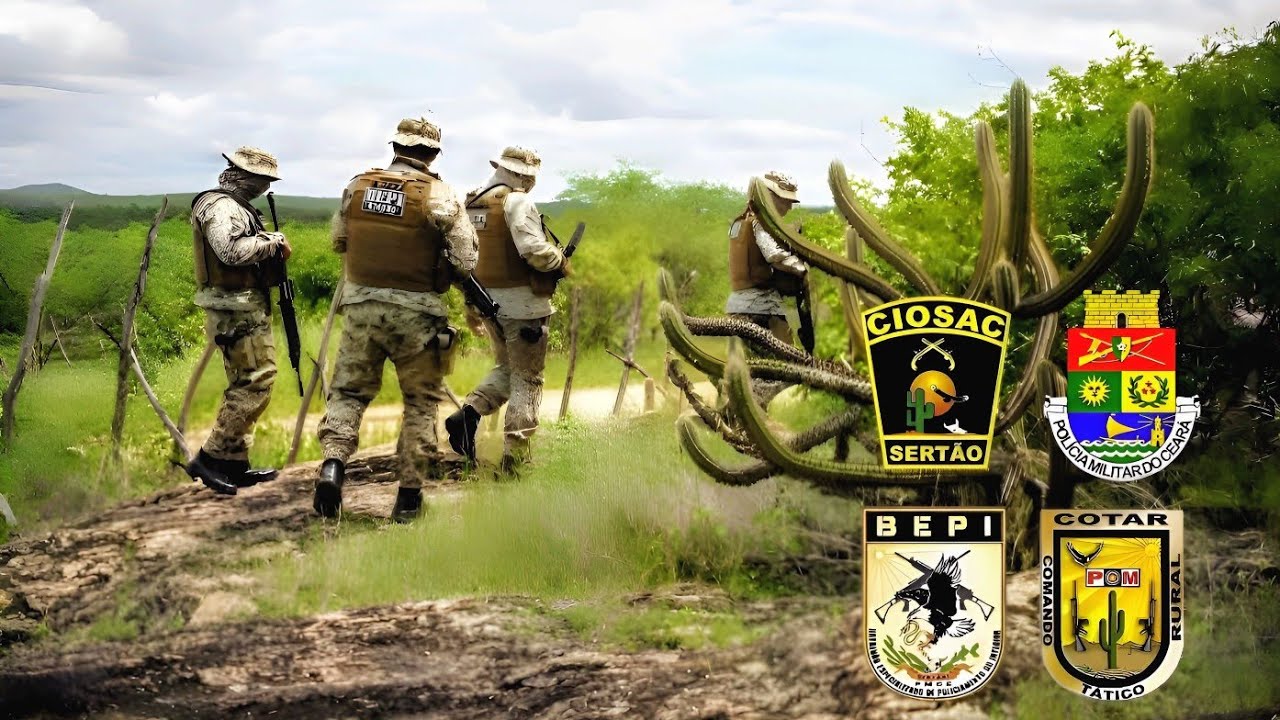 canção TFM BEPI cotar do Ceará ⚡🦅 #pmce #bepicotar #cotar #ciosac # ...