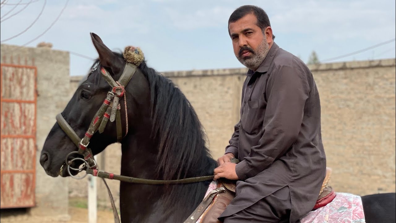 First Video|Baba aaj ghor sawari sekhny aa gya|new sawar tyar ho rha ...