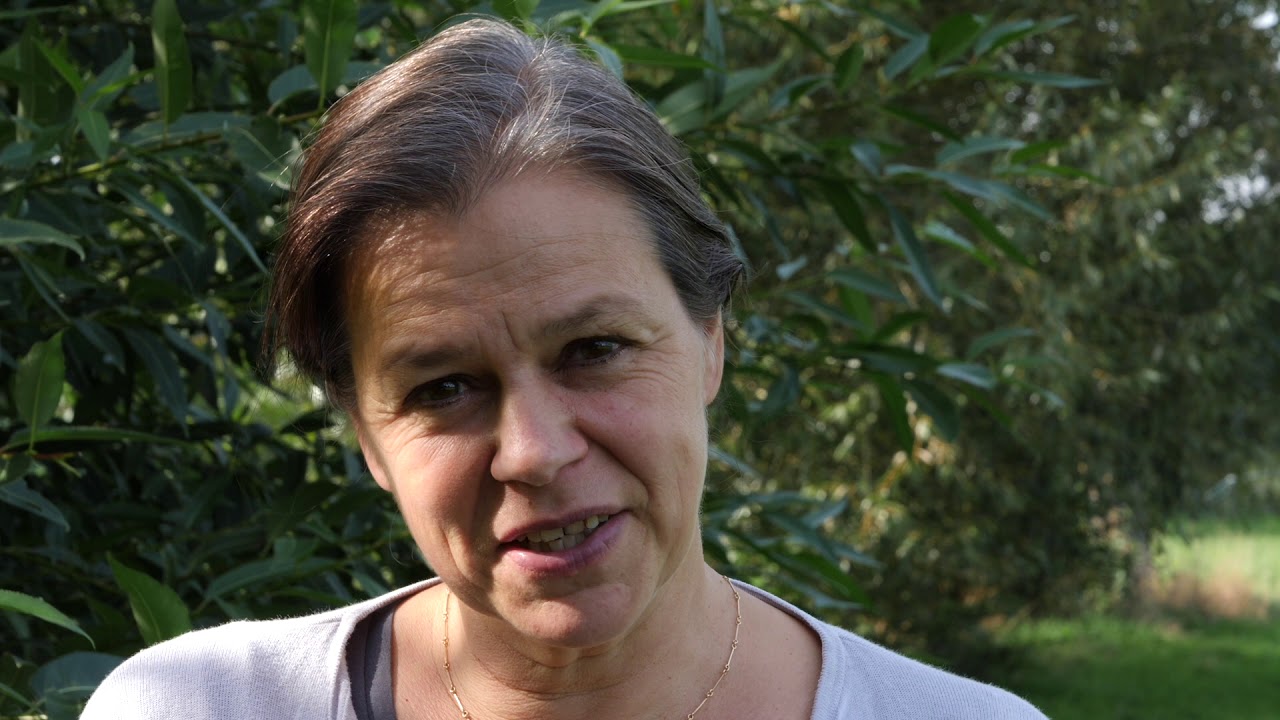 Tanja Busse: Das Sterben der Anderen - Teil 1: Für Lenn - YouTube