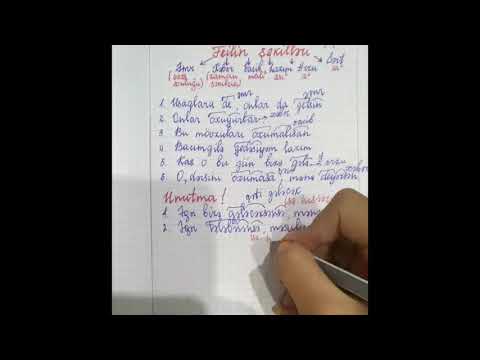 Feilin şəkilləri✅