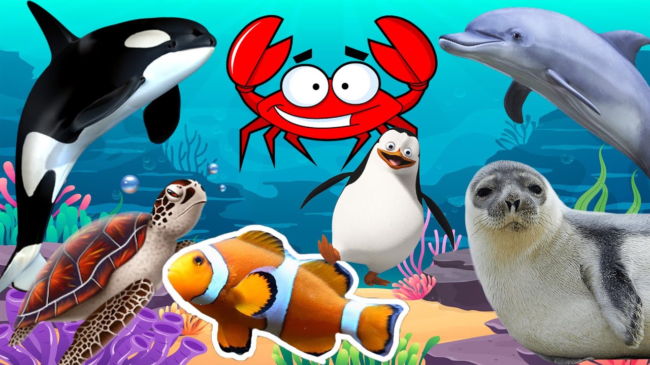 Underwater sounds with ocean & underwater animals | Deep sea sound ...
