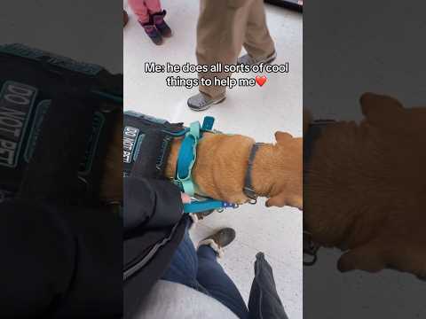 Wholesome children with service dog! #servicedog #dogtraining #dog #youtubeshorts #shorts #fyp