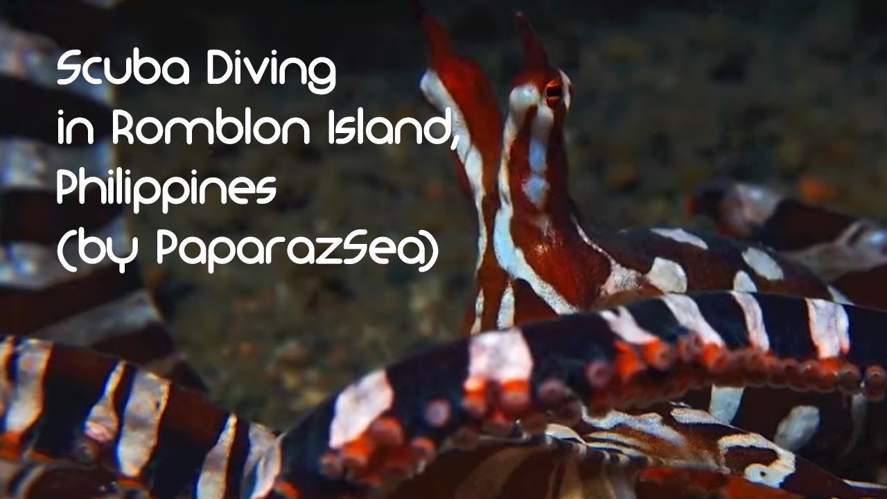 Scuba Diving in Romblon Island, Philippines with The Three P (by ...