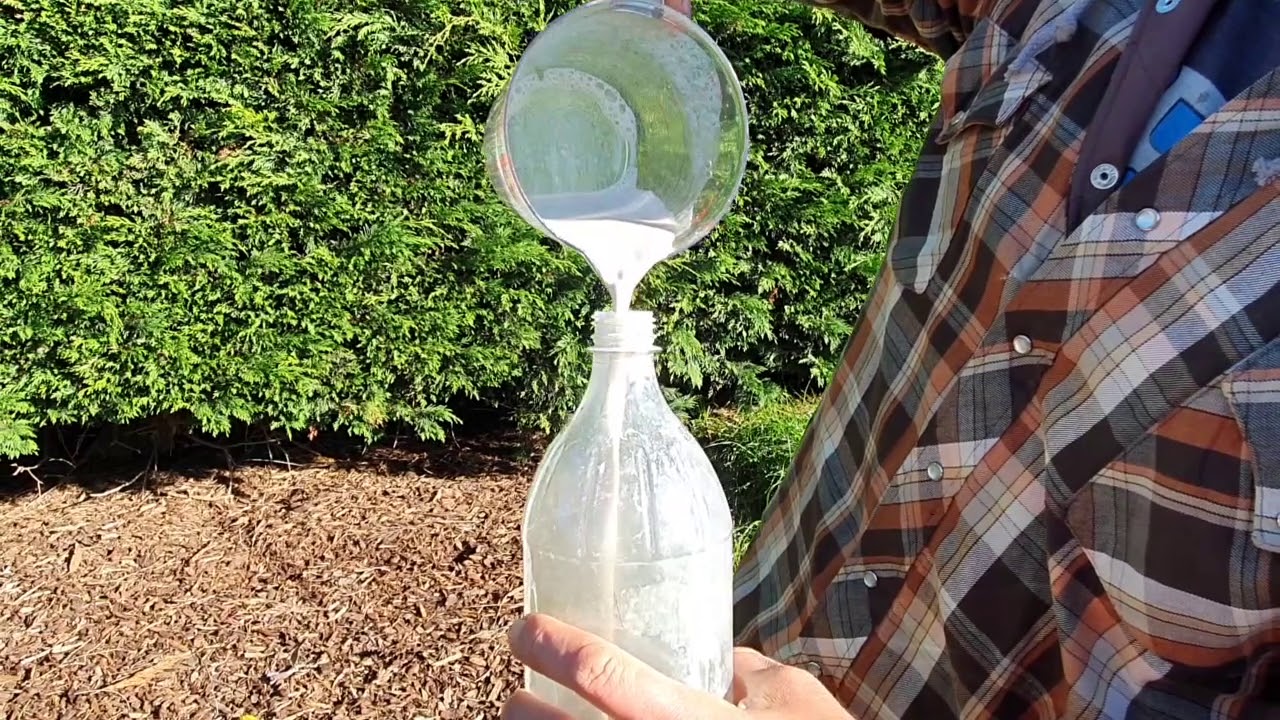 How to control codling moth and pear cherry slug with CGWS - YouTube