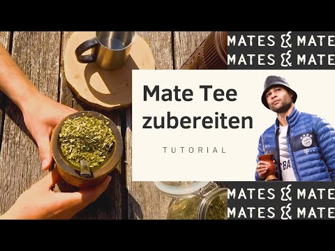 Mate Tee Tutorial // Wie wird Mate Tee richtig zubereitet? // Mates & Mate