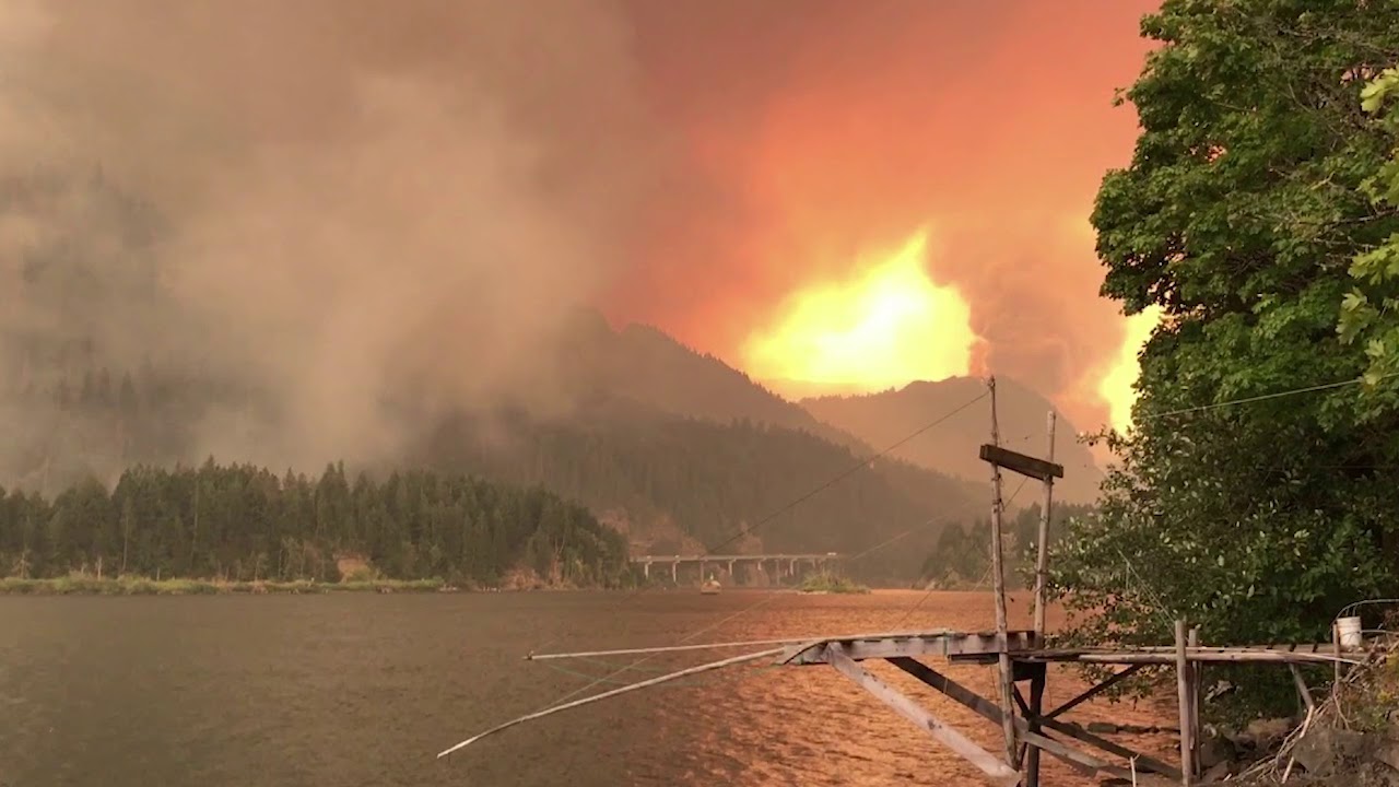 Ethan Lex Forest Fires 20 Image Project - YouTube