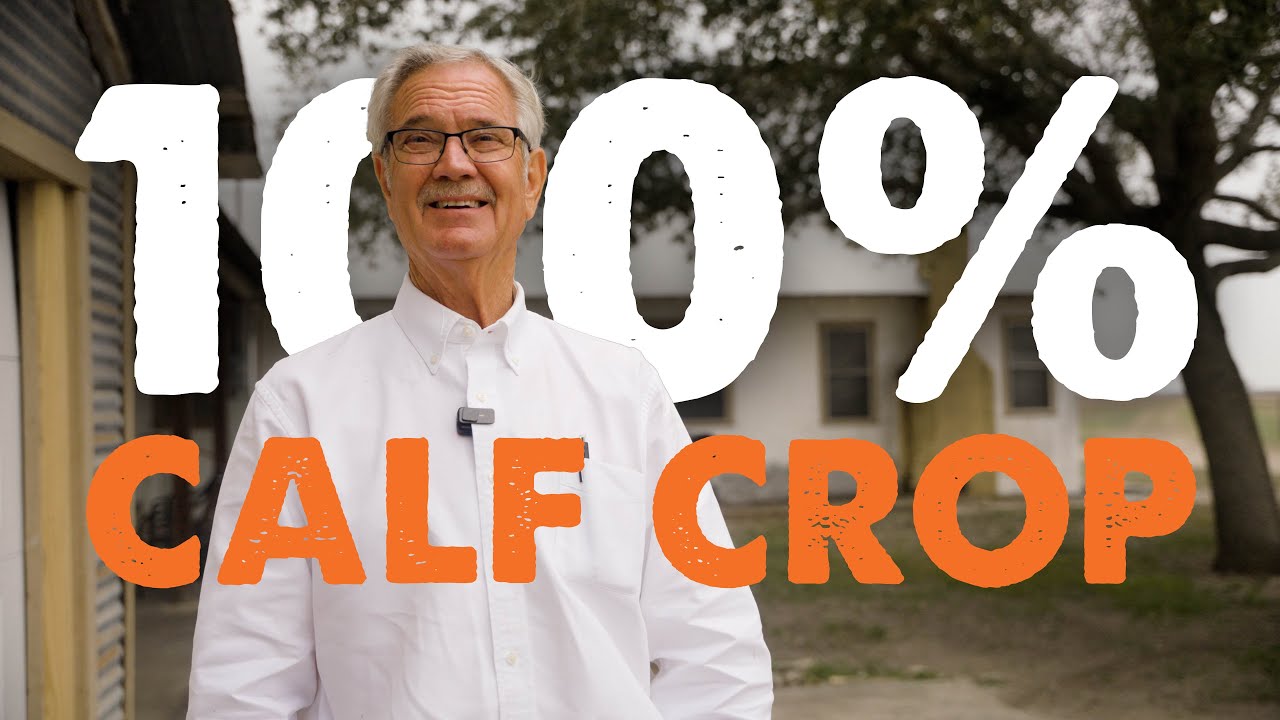 Why Larell Quit Traditional Molasses Tubs & What Happened Next - YouTube