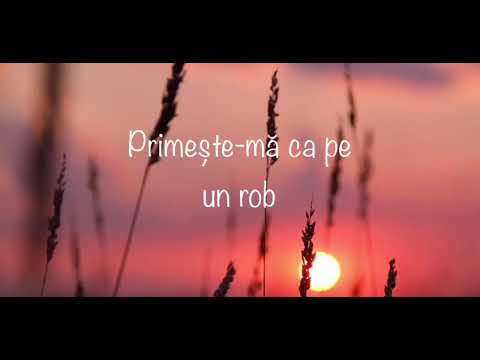 Primește-mă ca pe un rob - Horbaniuc Camelia // Cover