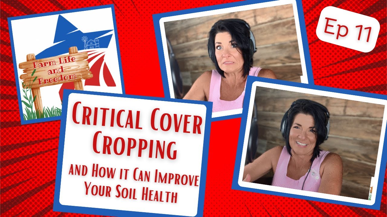 Critical Cover Cropping and How it Can Improve Your Soil Health - # ...