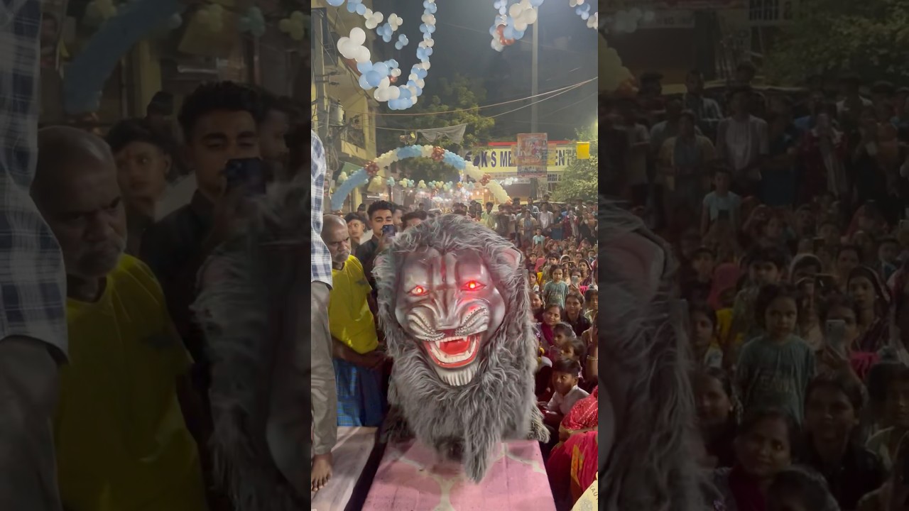 ! Sher DaDa…!! 🥹🙏🏻 - YouTube