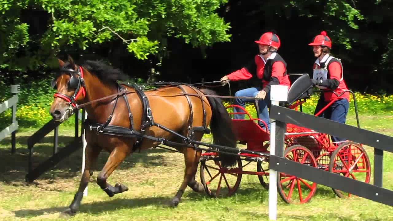 Waringstown 2013 Heather Henning - YouTube