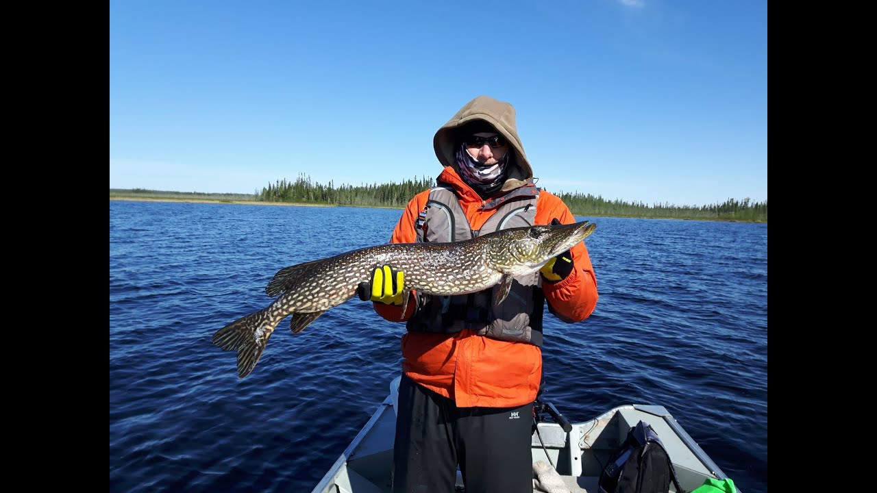 Fly-In Fishing - Kagianagami Lake (Kag) - YouTube