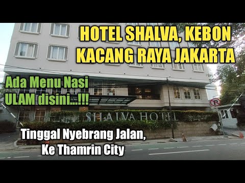 HOTEL SHALVA LETAK STRATEGIS DAN DEKAT PUSAT BELANJA - YouTube