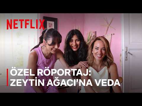 Ayvalık'ta Son Yaz | Zeytin Ağacı | Netflix