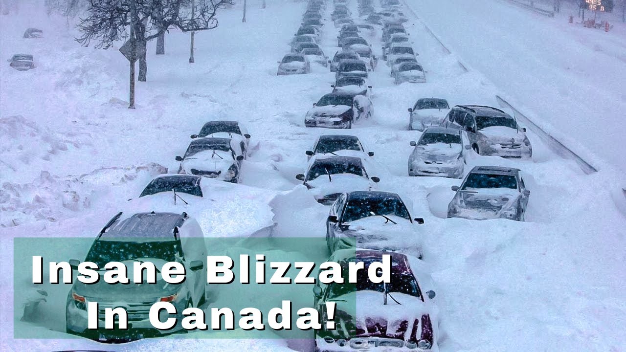 CRAZY VIDEO! Blizzard in Alberta, Canada (Nov 10, 2020) - YouTube