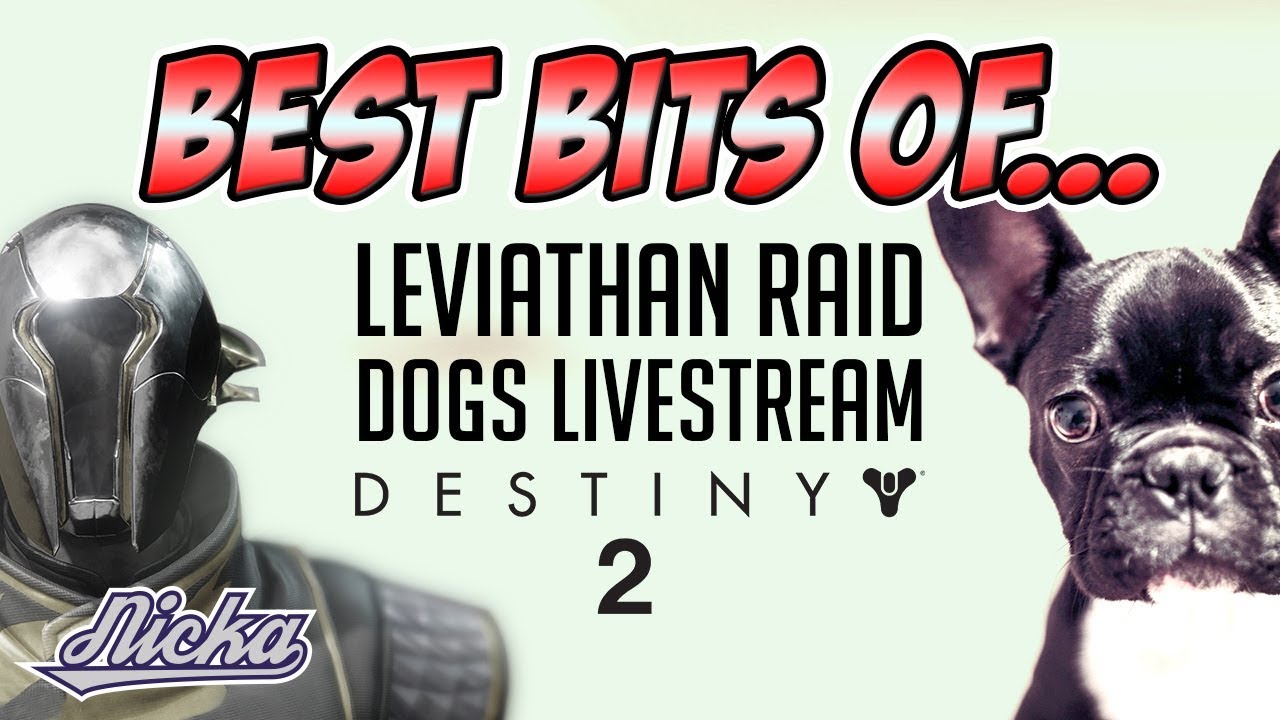 Best Bits of.. Destiny 2 :: Leviathan Raid - Dogs - YouTube