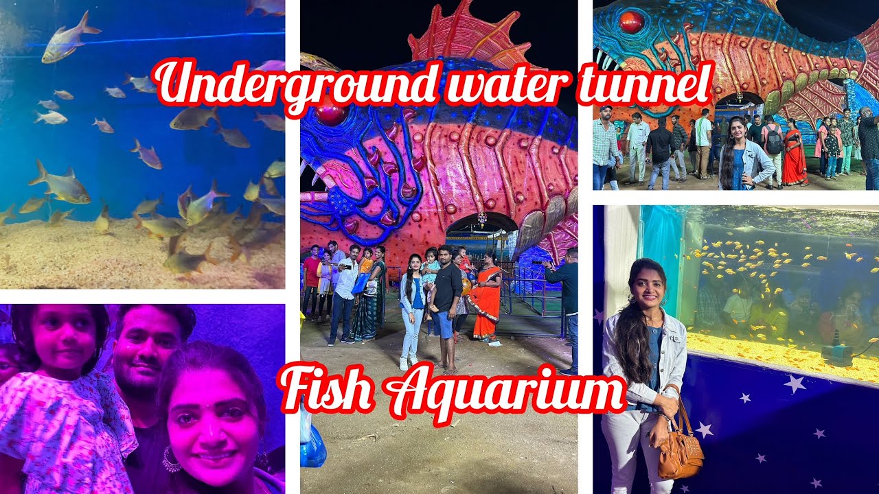 Underground water tunnel fish aquarium - YouTube