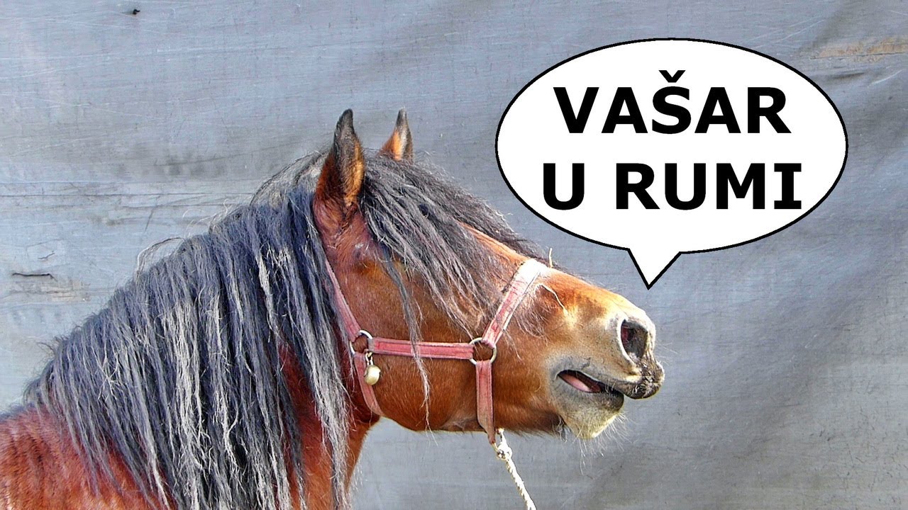 Vašar u Rumi - YouTube